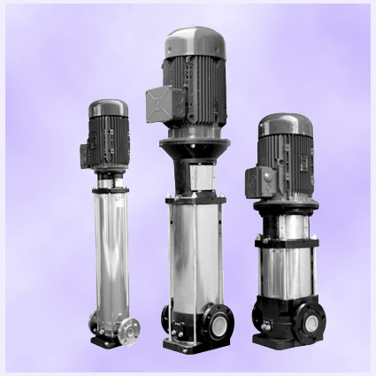 Ebara Stainless Steel Vertical Multistage Centrifugal Pump – EVM